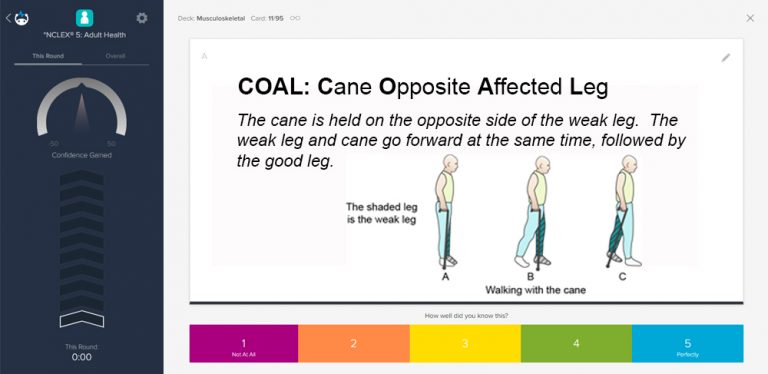 Flashcards - The NCLEX Tutor